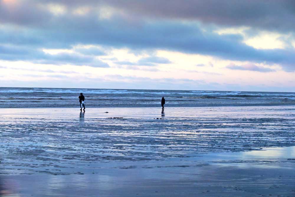 WDFW OKs seven days of razor clam digs starting Jan. 29 | Chinook Observer