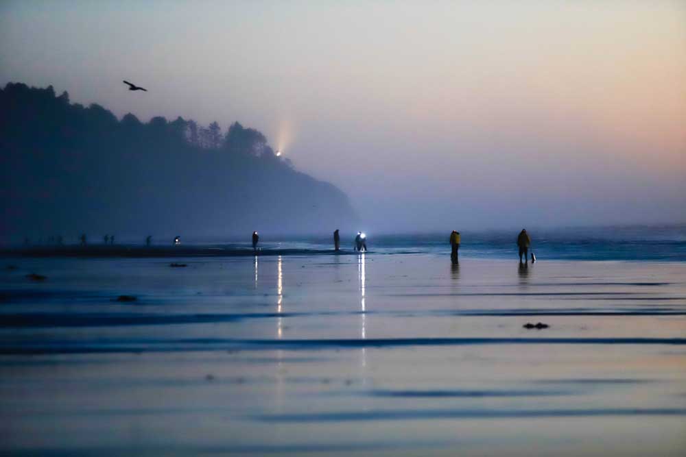 Local | Chinook Observer