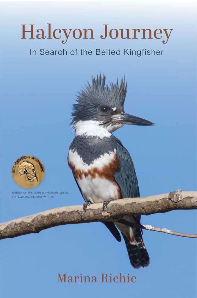 Wings Over Willapa Festival celebrates birds, nature, art | Chinook ...