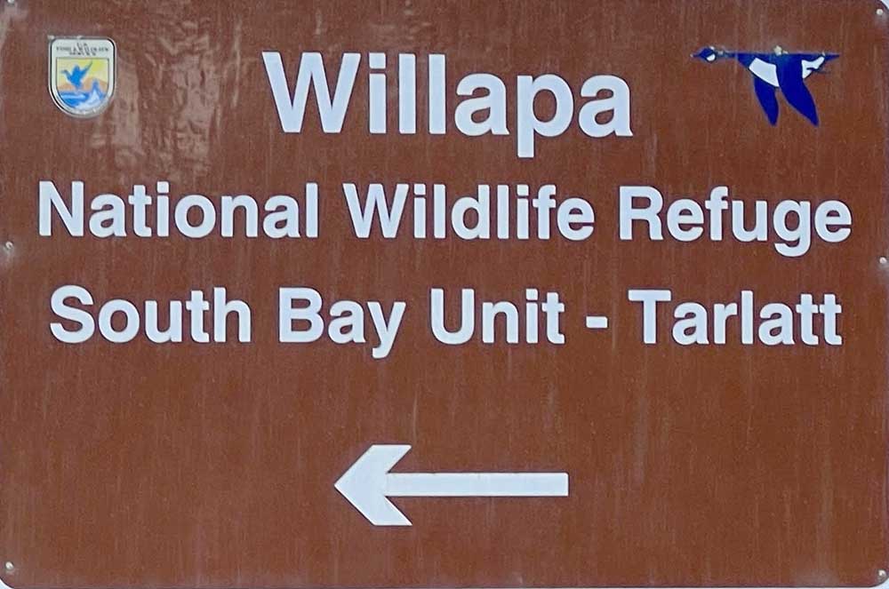 Great Backyard Bird Count 2024 | Chinook Observer