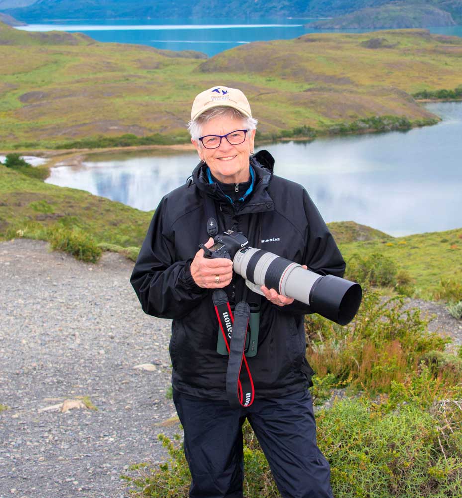 Birdwatching Western meadowlark: A popular state bird | Chinook Observer