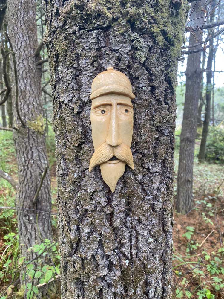 Coast Chronicles: The many faces of Pacific Pines | Chinook Observer