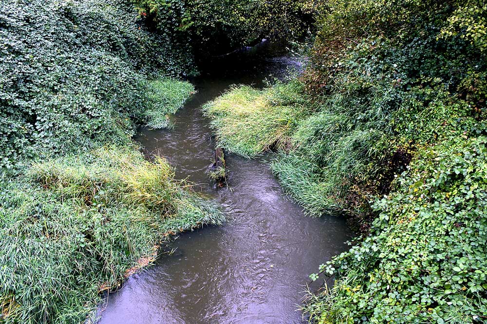 Washington plans rule for ‘fine sediment’ | Chinook Observer