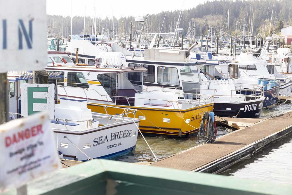 Going deep: Charter offers new trips targeting big lingcod, black cod ...