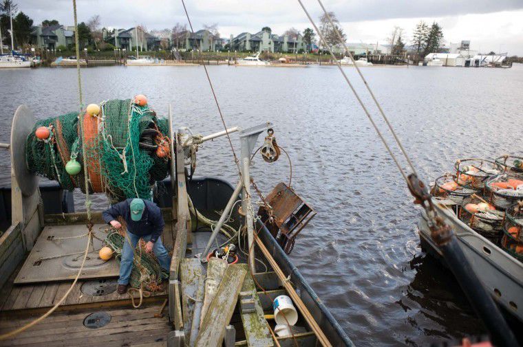 Groundfish trawl catch share program prepares to get underway | Chinook ...
