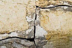 An icon in need | Chinook Observer