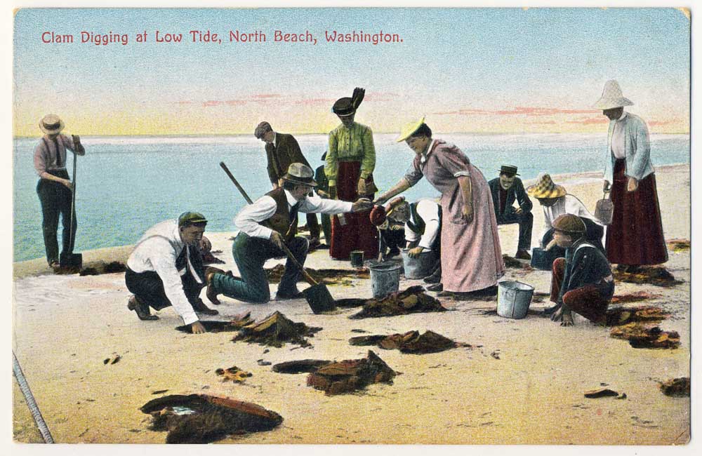 WDFW OKs seven days of razor clam digs beginning Jan. 15 | Chinook Observer