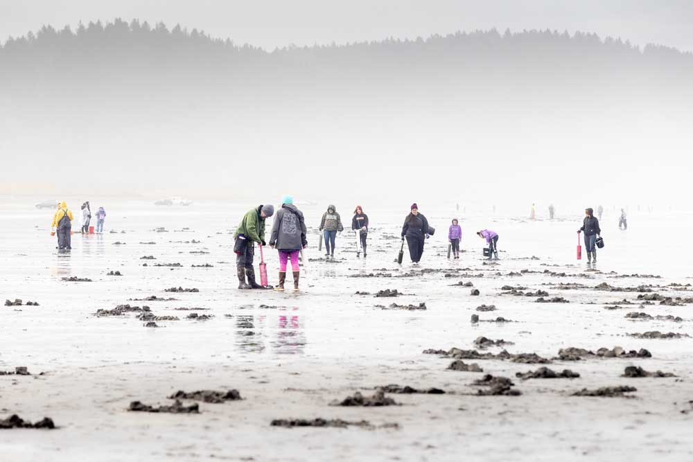 WDFW approves seven days of coastal razor clam digs beginning Nov. 3 ...