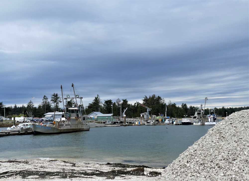 Turmoil continues at Port of Peninsula | Chinook Observer