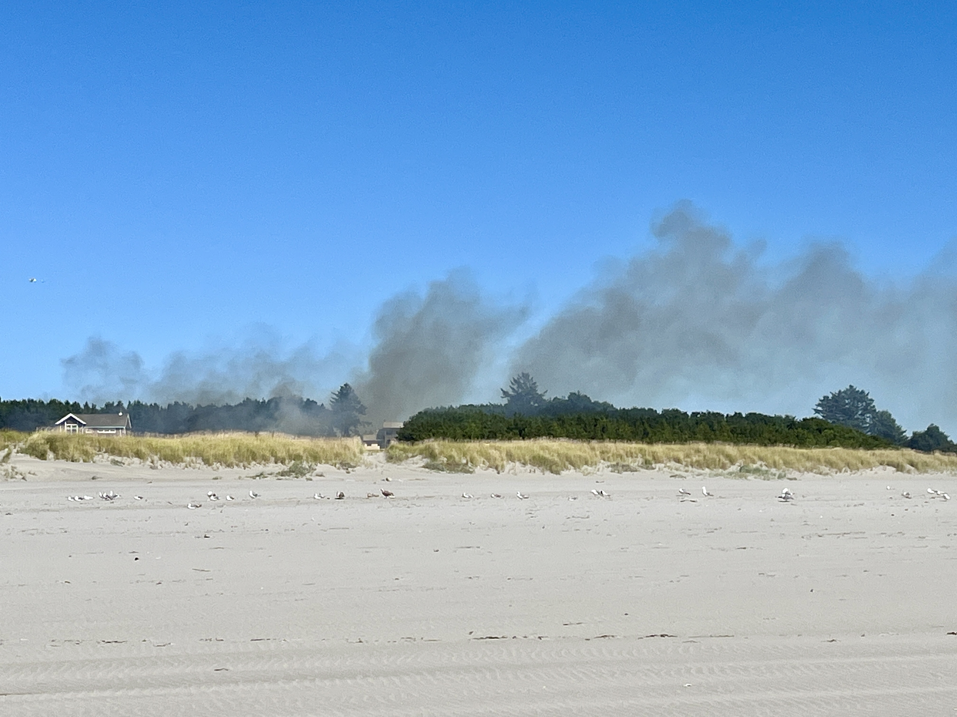 Ocean Park dune fire fed by north wind | Chinook Observer