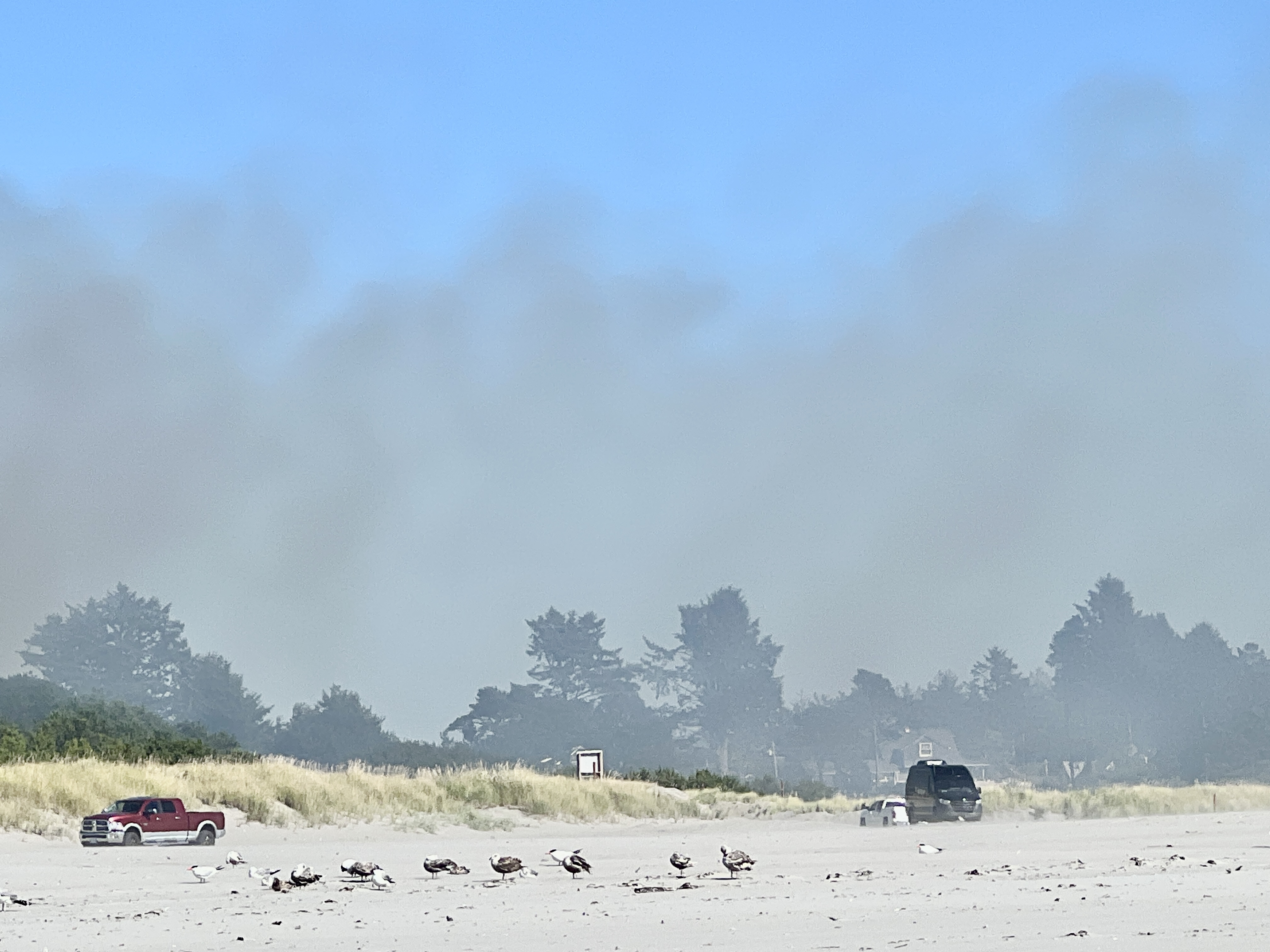 Ocean Park dune fire fed by north wind | Chinook Observer