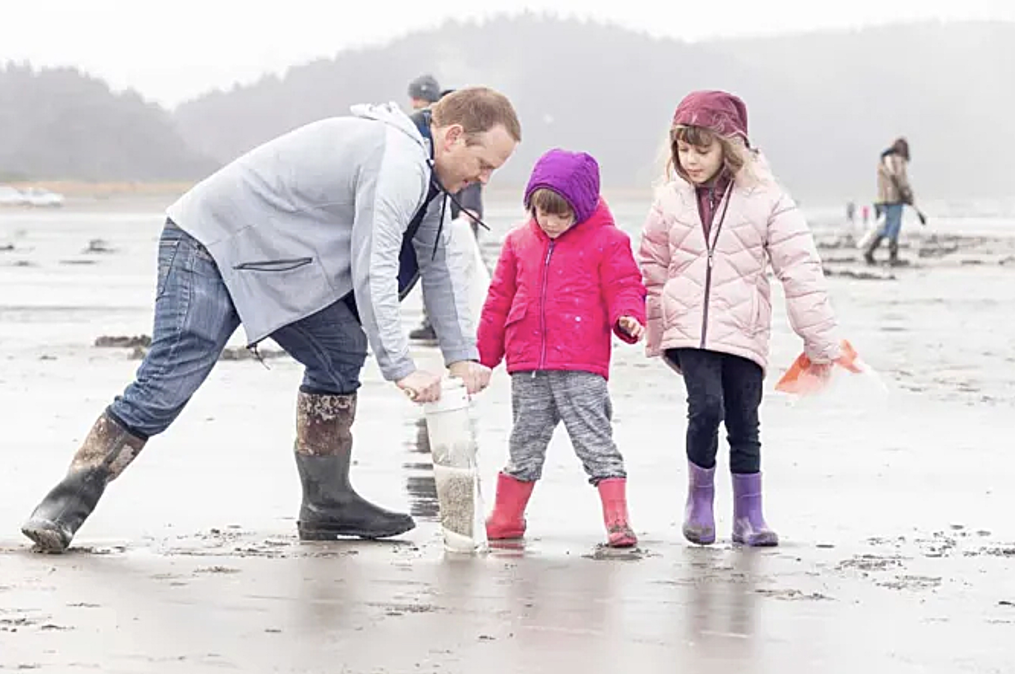 Ready, set, dig … if all goes well | Chinook Observer