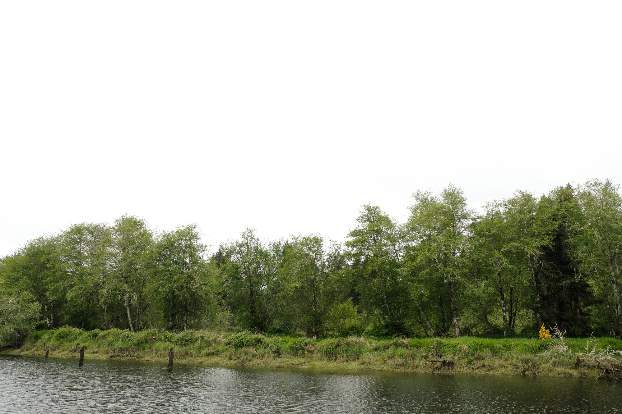 Flooding on the Grays: Part 1 — Rural neighbors seek a river’s future ...