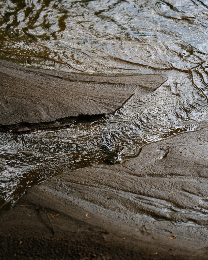 Restoring a river while protecting the land: Floods are getting ...