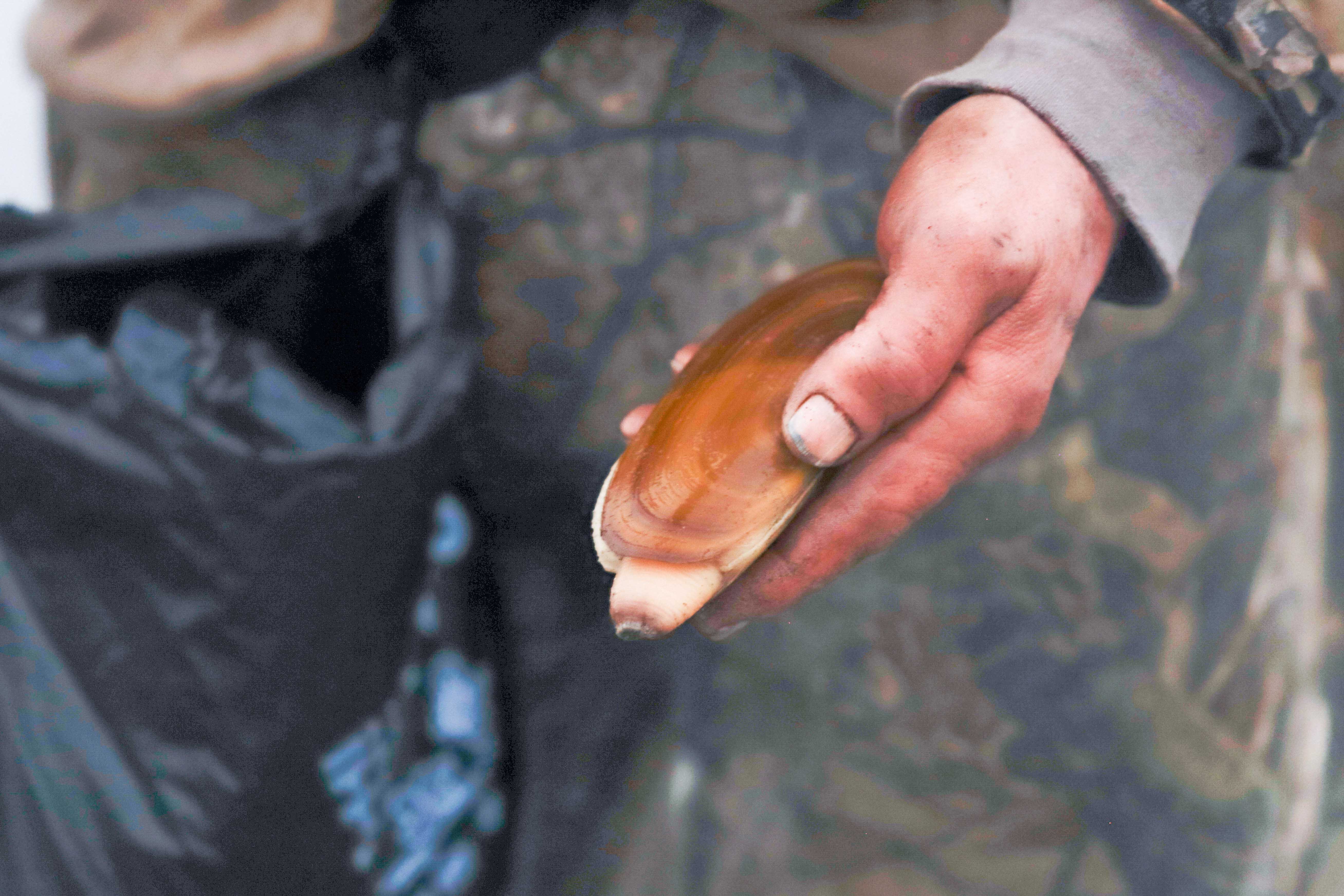 Digging into fall: Coast’s favorite sport now underway | Chinook Observer