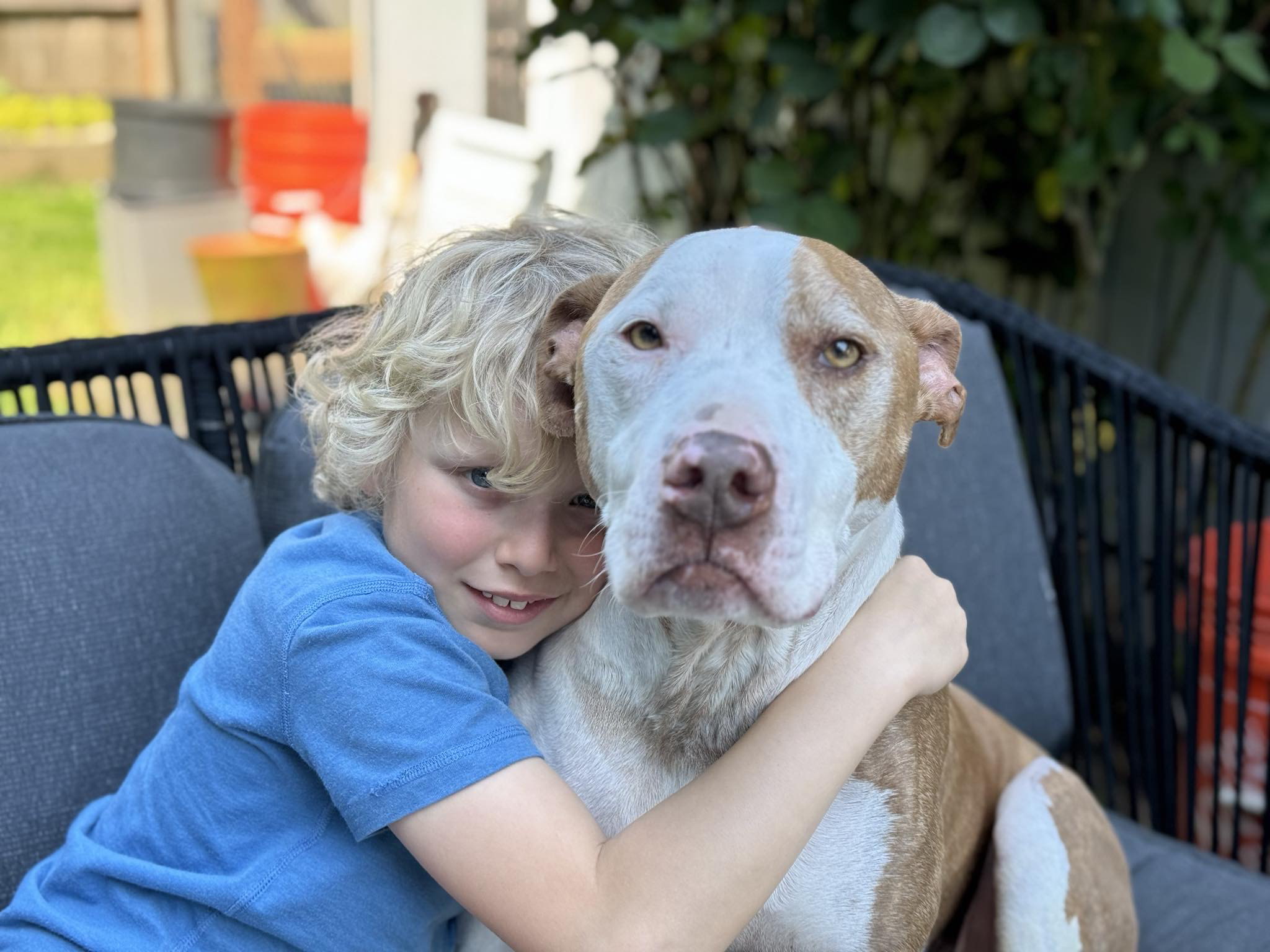 Animal Shelter Report: Give these lovable boys a chance | Chinook Observer