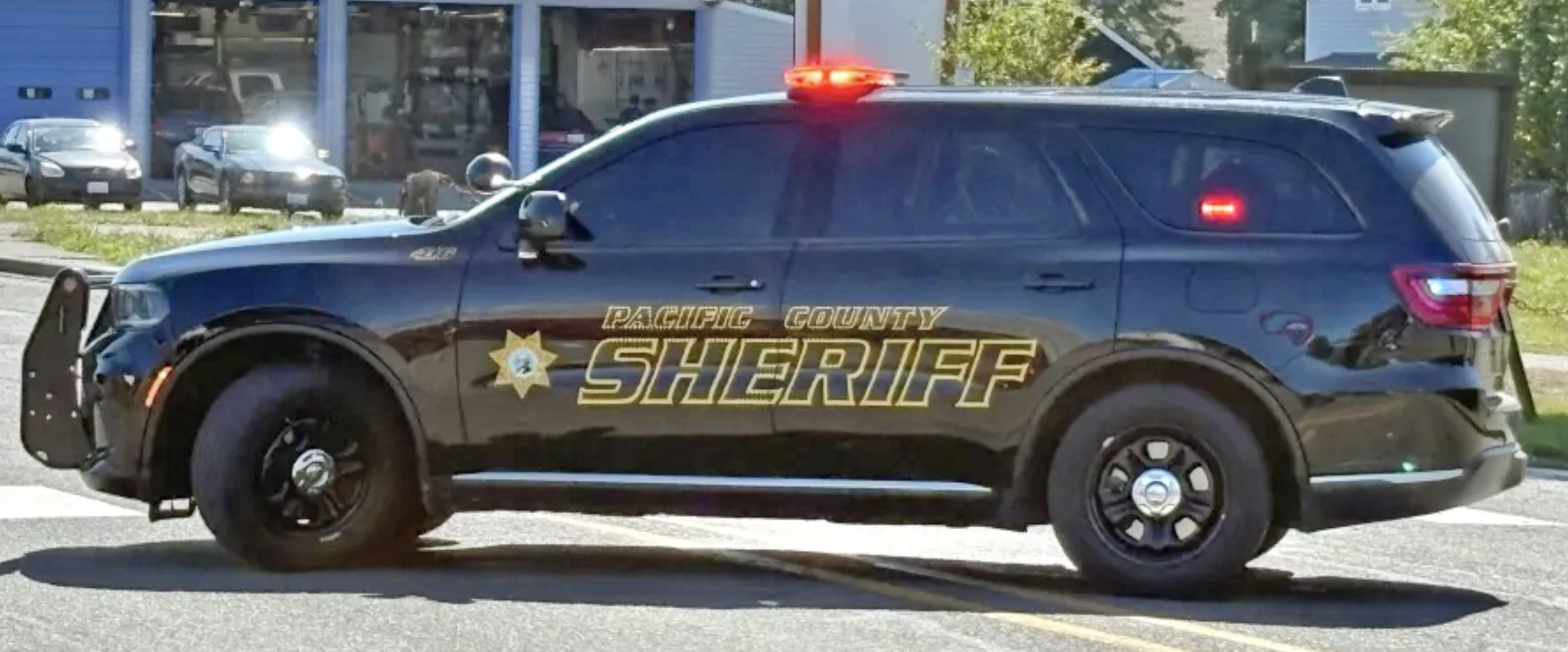 Dispatch Reports | Chinook Observer