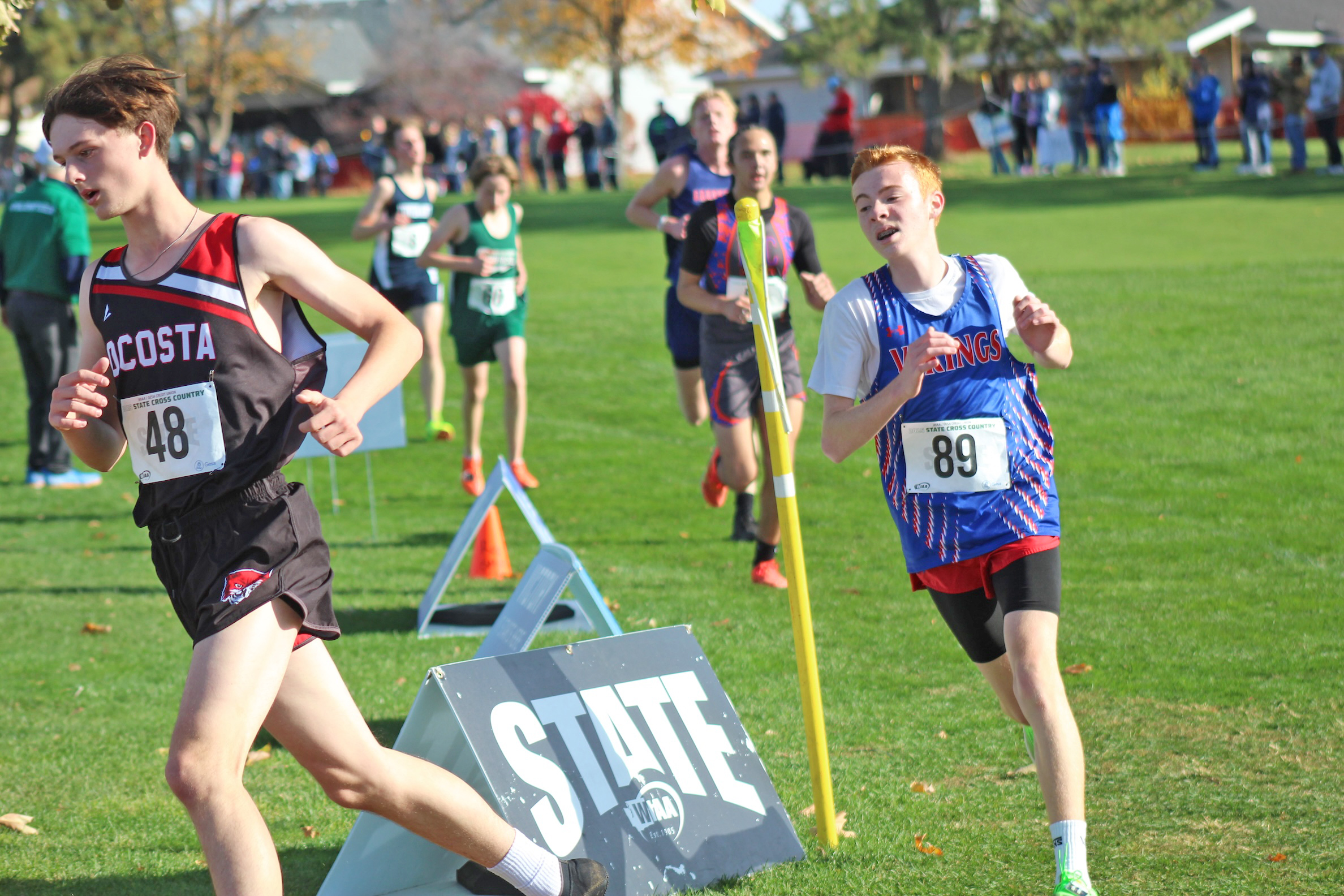 Willapa harrier runs solo | Chinook Observer