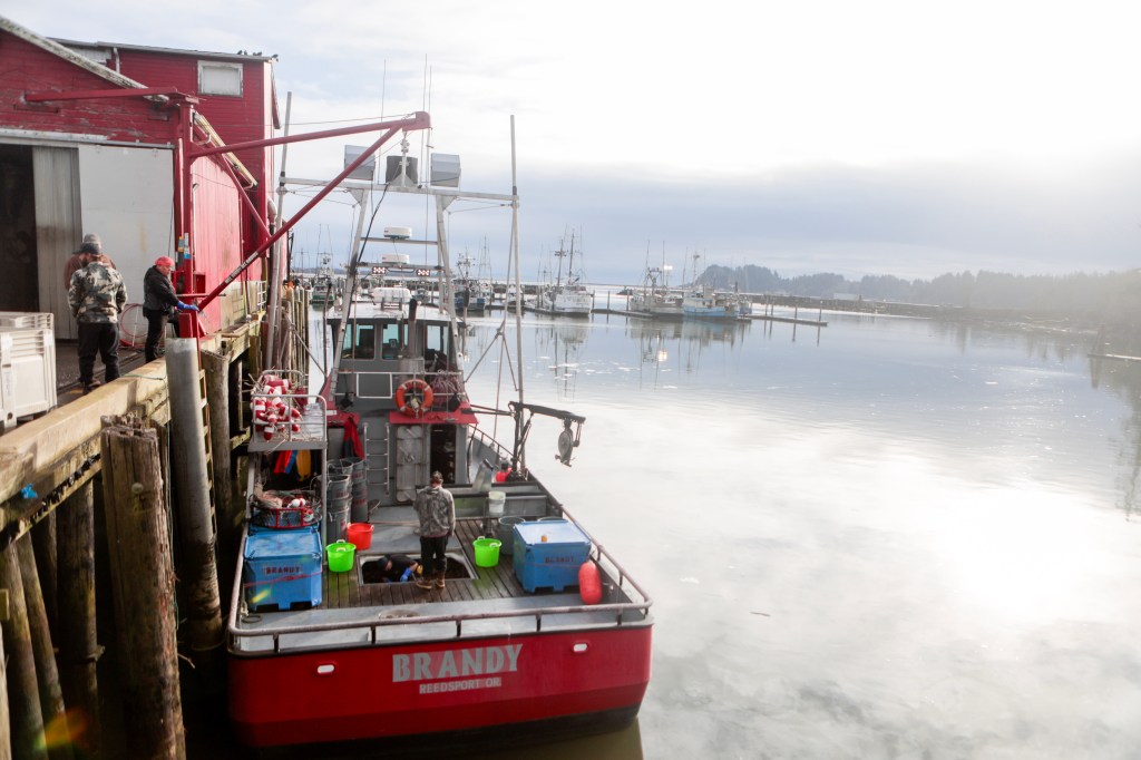 Crabbers catch fair winds, decent price | Chinook Observer