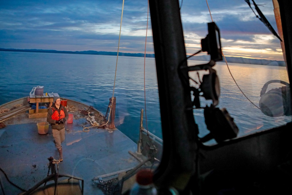 One day on the bay: Long Island Oyster Company carries on a legacy ...